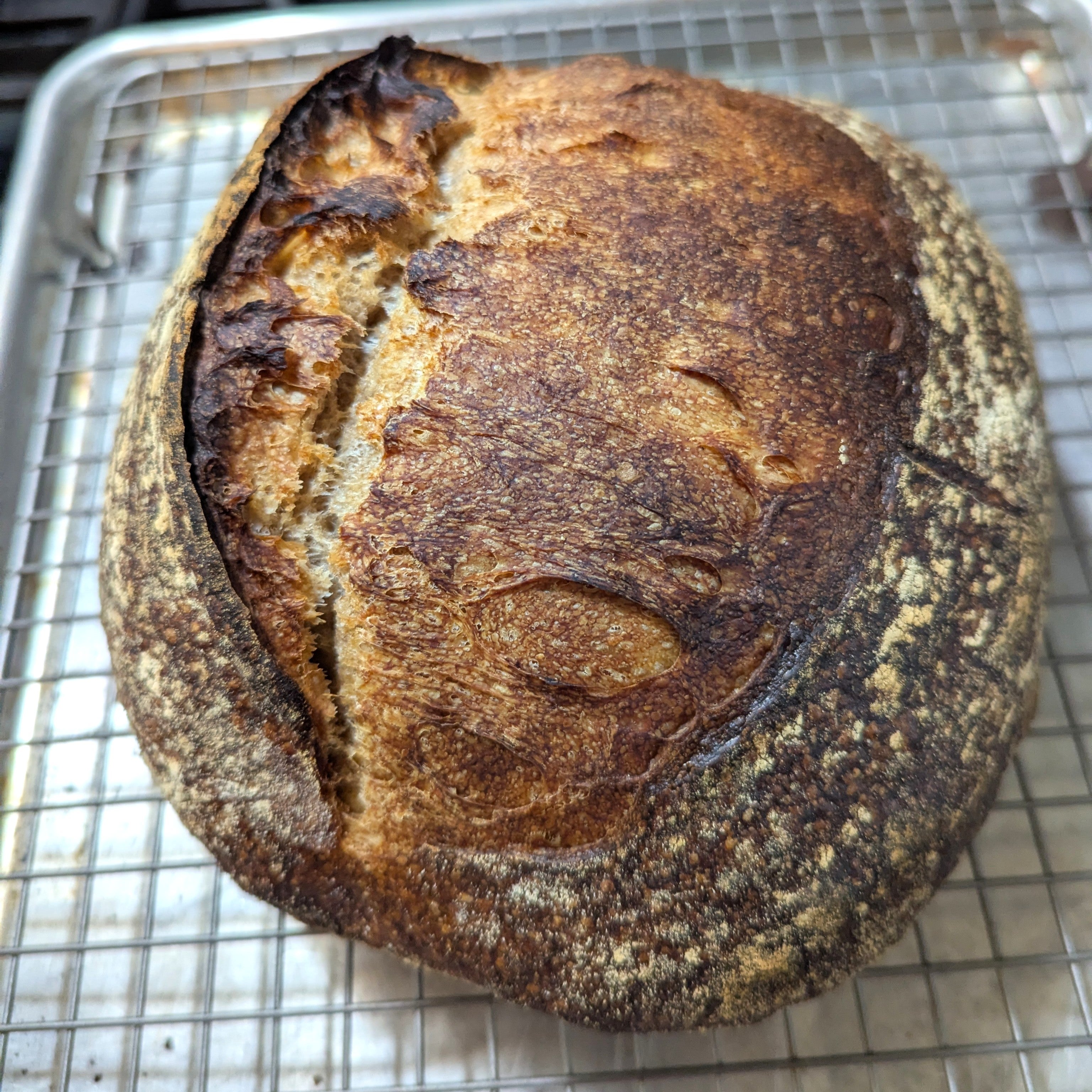 MID-CITY LOAF | BREAD FOLK
